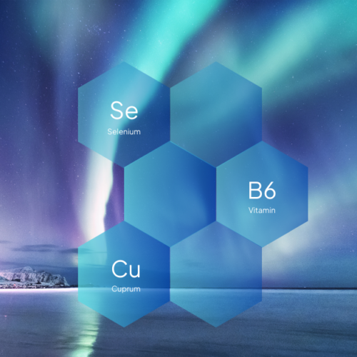 Micronutrients health related guidance values: what’s new for vitamin ...